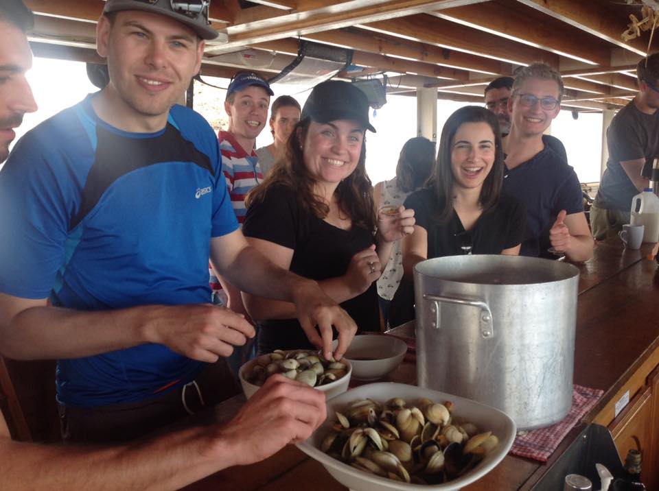 Gather New Zealand Cockles in the Bay of Islands