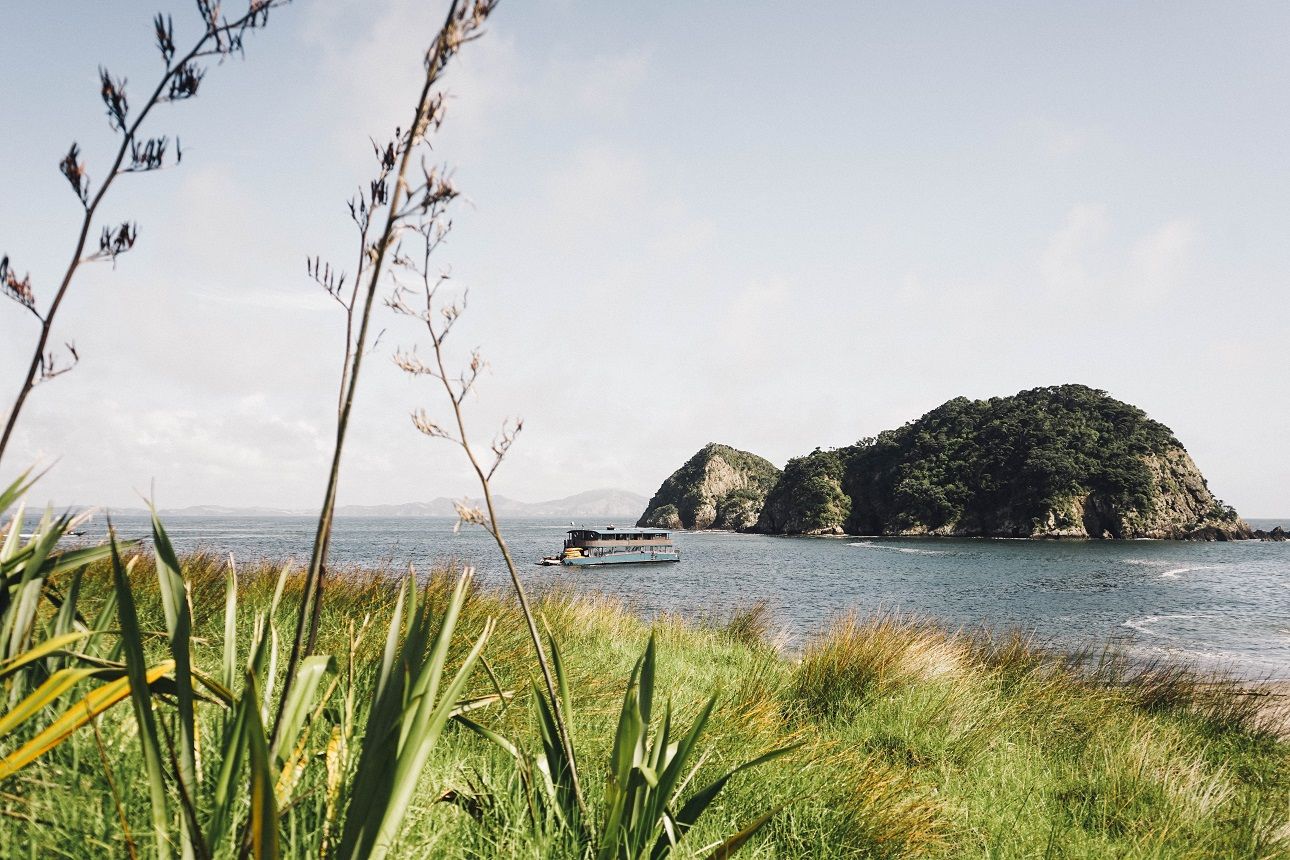 Guest Brie blog about her trip on The Rock in the Bay of Islands
