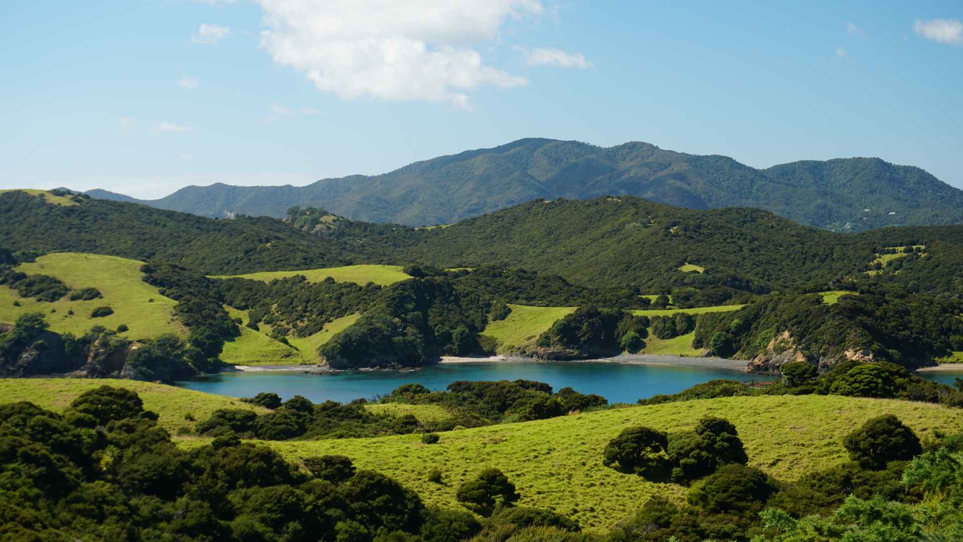 The Rock Team Top 5 Bay of Islands Must Do's