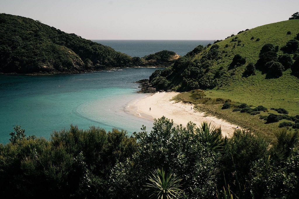 Top 5 Bay of Islands Local Secret spots